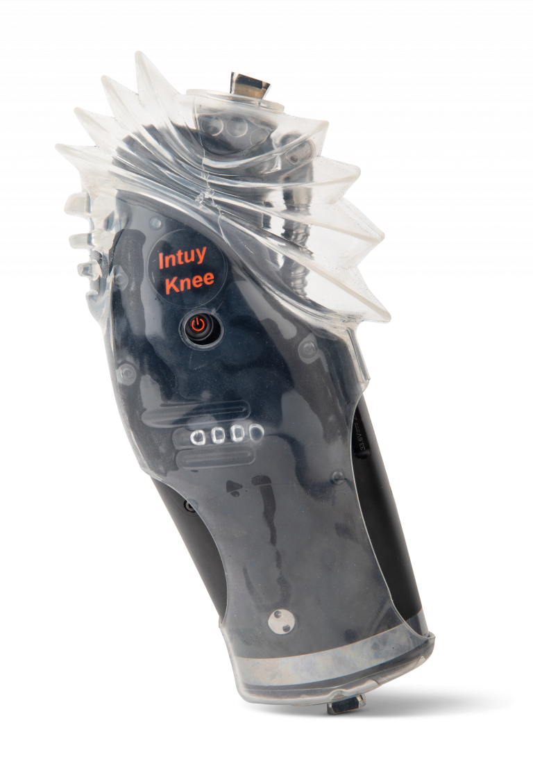 INTUY® Knee | WillowWood