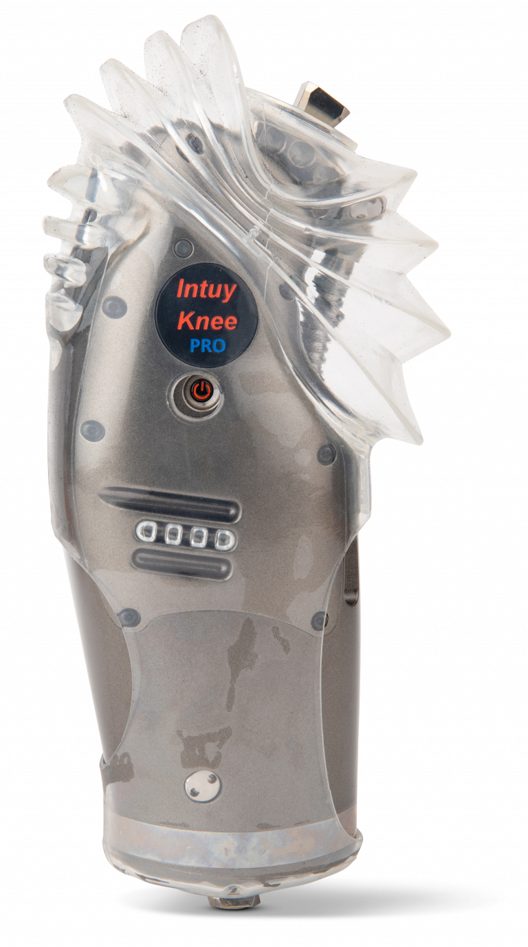 INTUY® Knee Pro | WillowWood